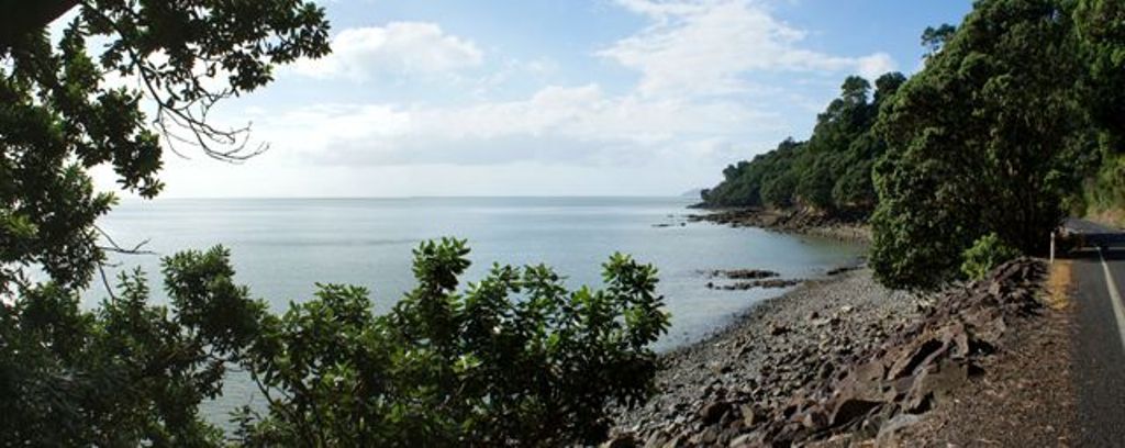 The Coromandel Loop | Tailpipes and Headlamps
